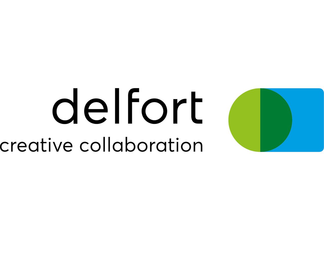 Delfort Group in